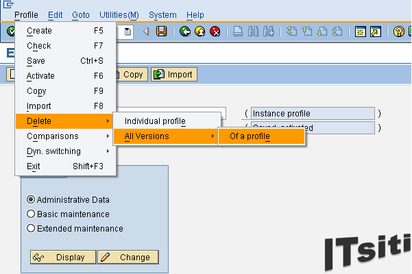 Delete Inactive Profile in RZ10