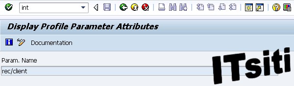 Edit Display Only RZ11 (Maintain Profile Parameter)