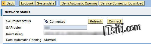 Steps to Open R/3 Connection for SAP Support