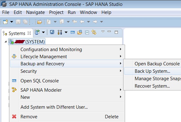 How to Perform HANA Full Database Backup